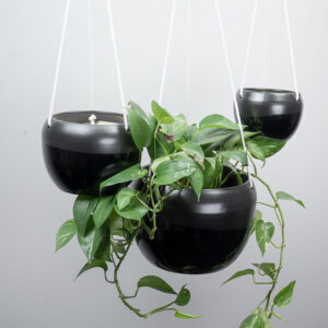 Hanging Round Planter WP - SymbiOp Garden Shop