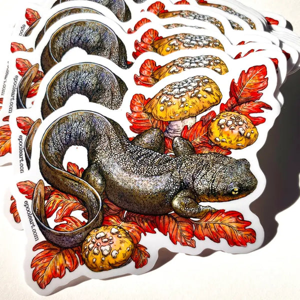 Rough-Skinned Newt Sticker - SymbiOp Garden Shop