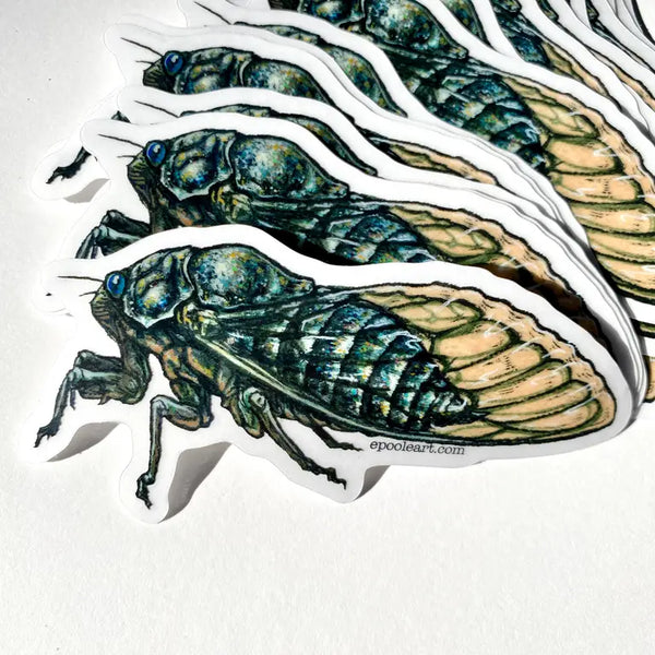 Cicada Sticker - SymbiOp Garden Shop